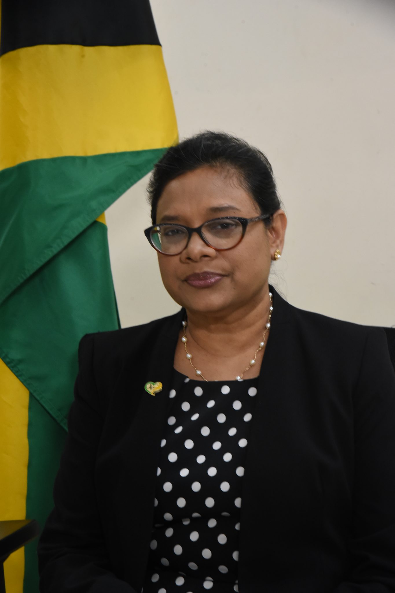Chief Medical Officer Appointed to Regional Agency Board – Ministry of ...